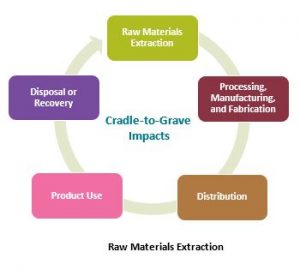 Life Cycle Tips for the Holiday Season - The Brendle Group